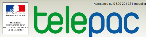 Aides animales : ce qu’il faut savoir